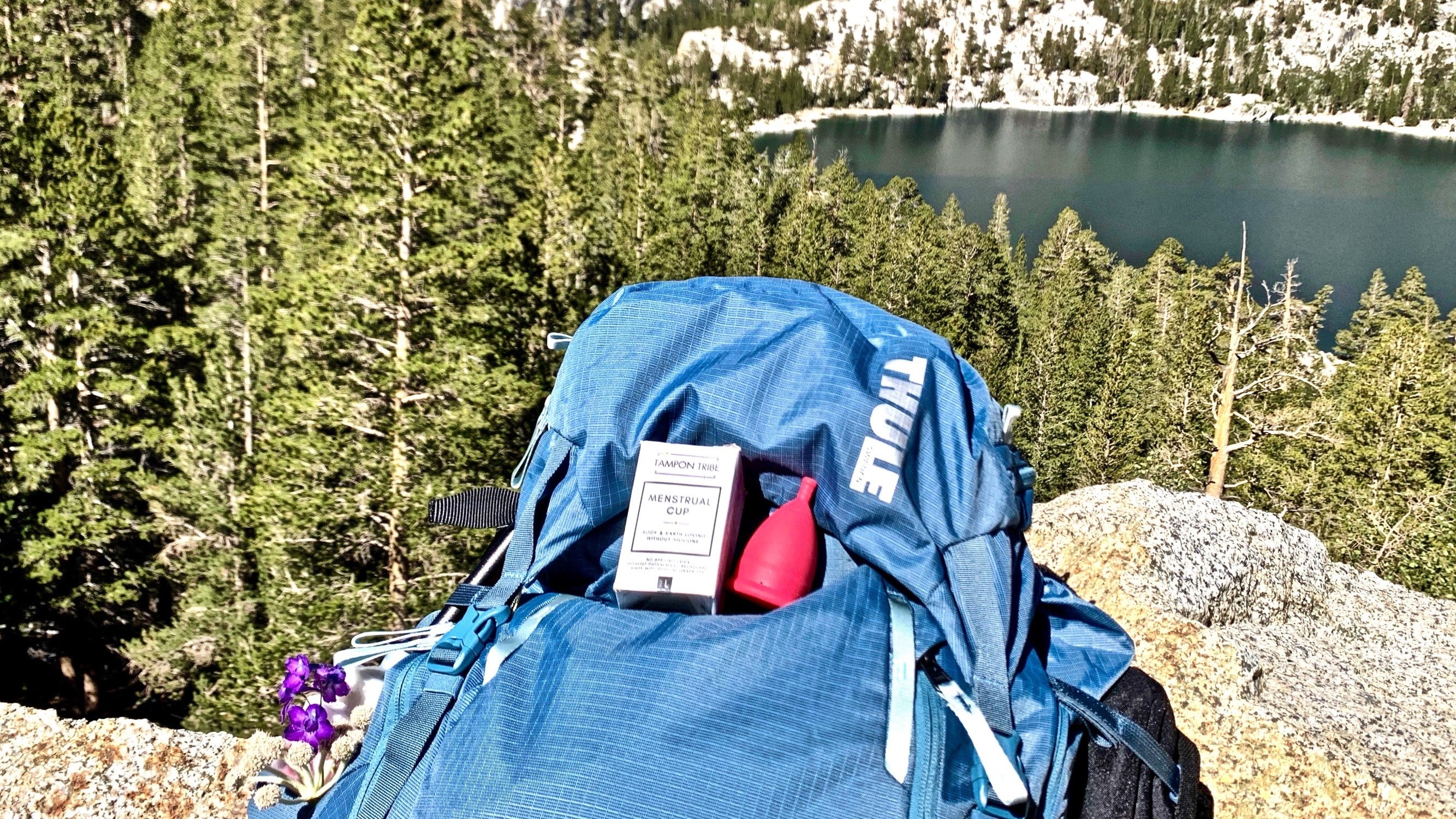 A Sustainable Choice For Your Period – Tampon Tribe