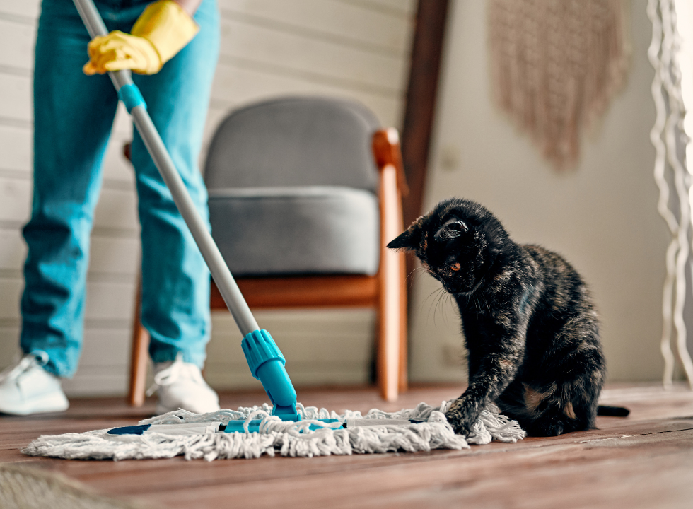 7 Eco-friendly Spring Cleaning Tips – Tampon Tribe